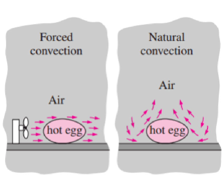 Convection Heat Transfer - New Earth Engineering Design